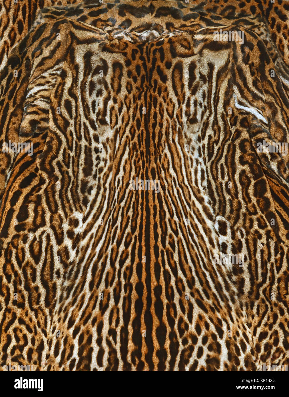 Leopard texture hi-res stock photography and images - Alamy