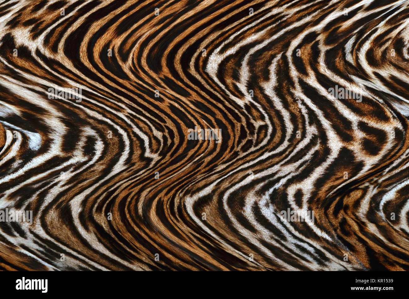 feline skin background texture Stock Photo - Alamy