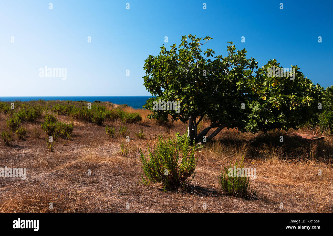 Turkey beach flare hi-res stock photography and images - Alamy