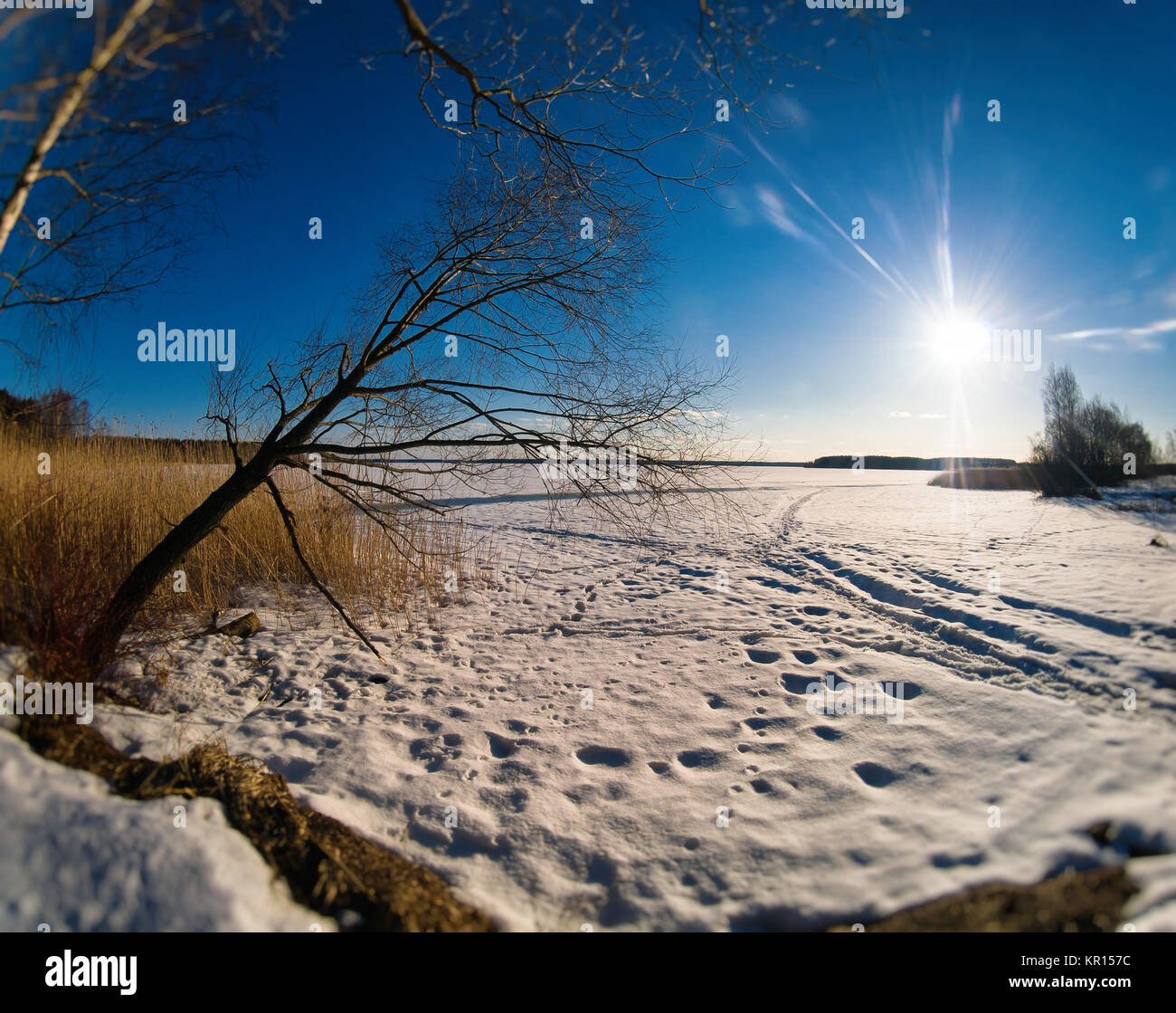 Horizontal vivid winter landscape with sun rays and footprints o Stock ...
