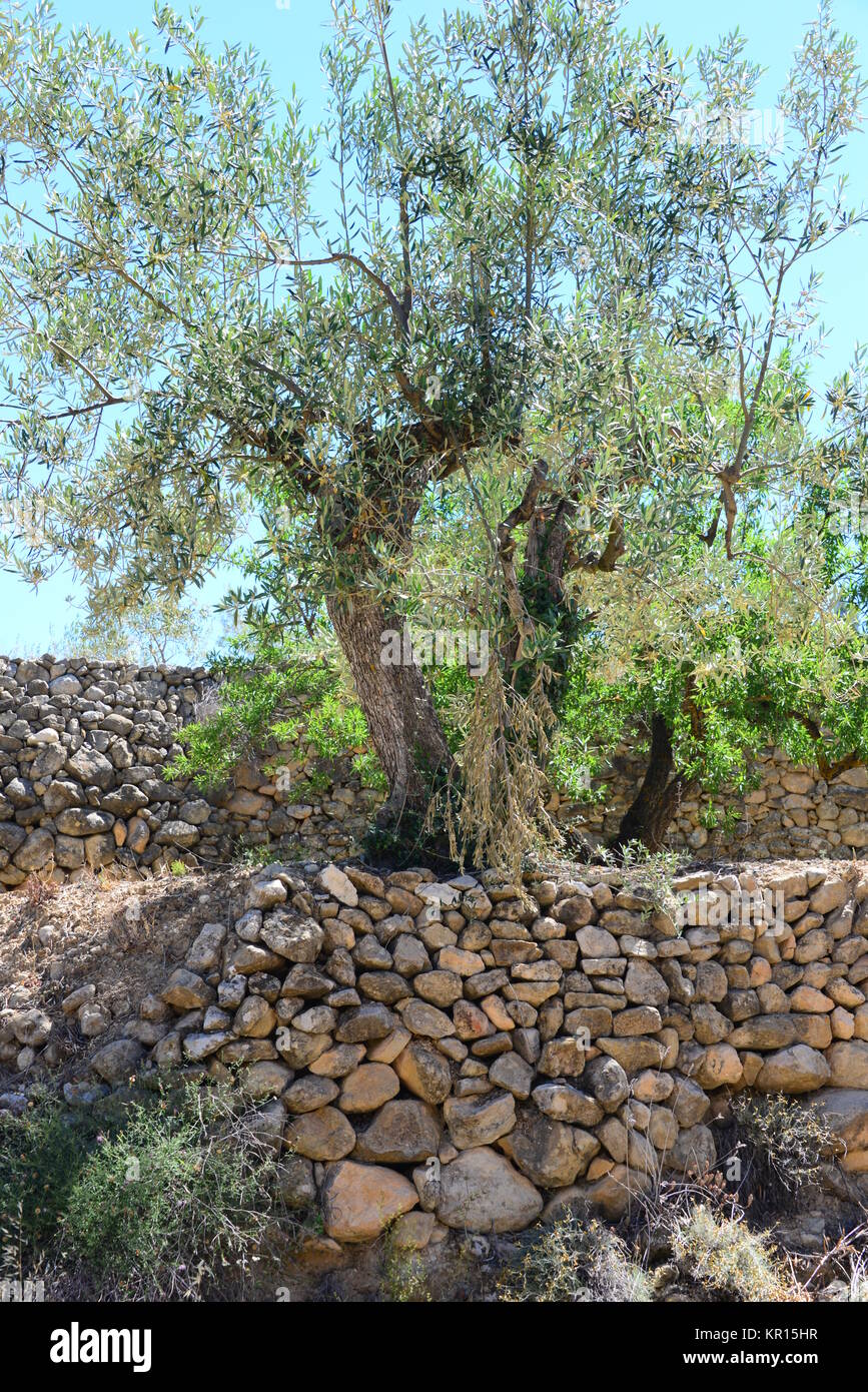 stone walls in spain Stock Photo - Alamy