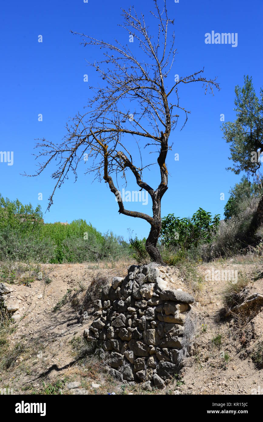 stone walls in spain Stock Photo - Alamy