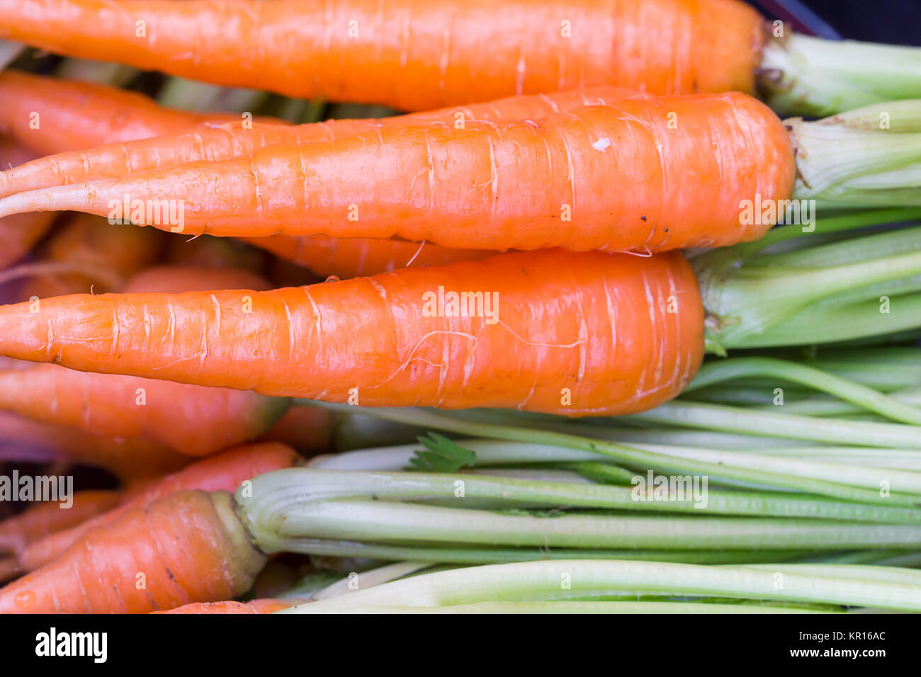 Fresh organic carrots Stock Photo - Alamy