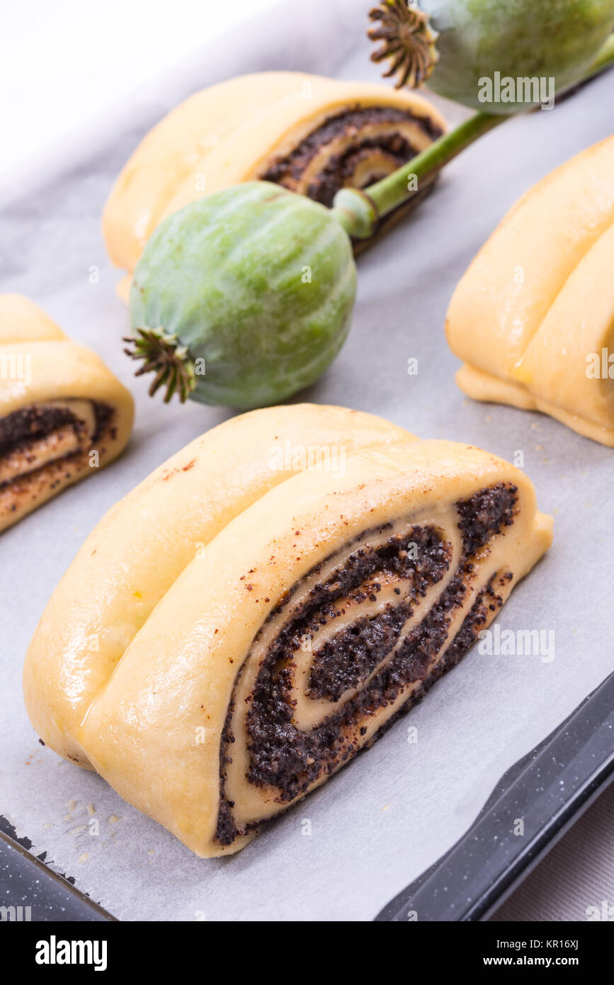 Raw Quick Poppy Seed Rolls Stock Photo - Alamy