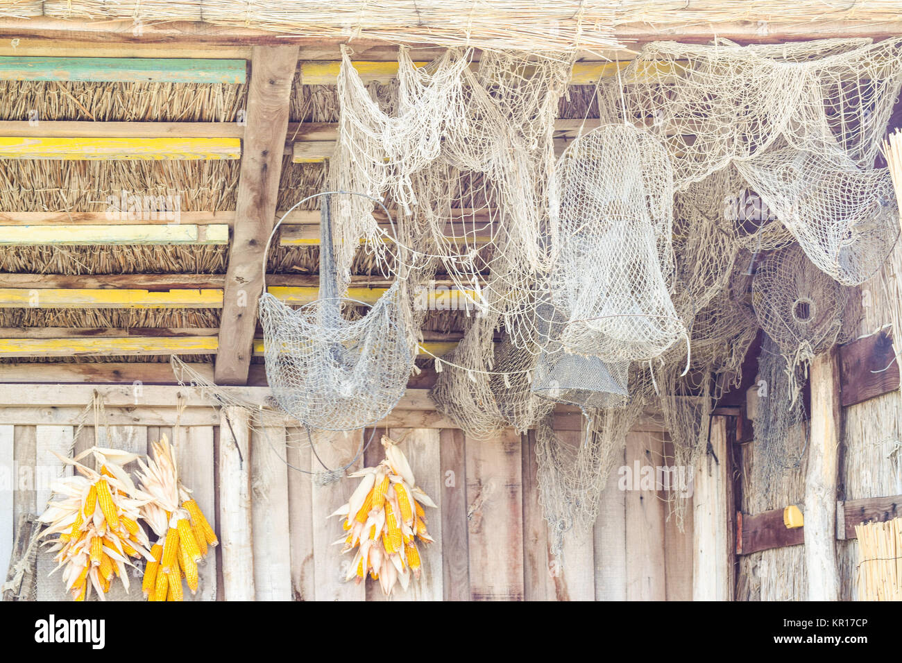 Short canopy hi-res stock photography and images - Alamy