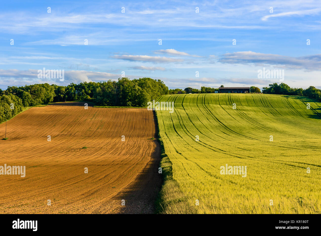 Divided farm field in the Haute-Garonne departement of France Stock ...