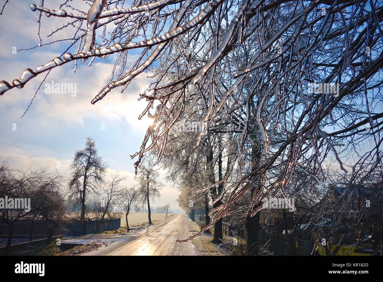 frozen street and branches on cold clear winter and colorful sky Stock ...