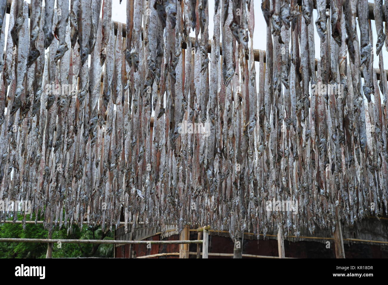 Dry fish in Bangladesh Stock Photo - Alamy