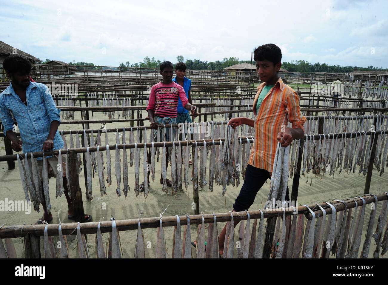 Bangladeshi photograph hi-res stock photography and images - Alamy