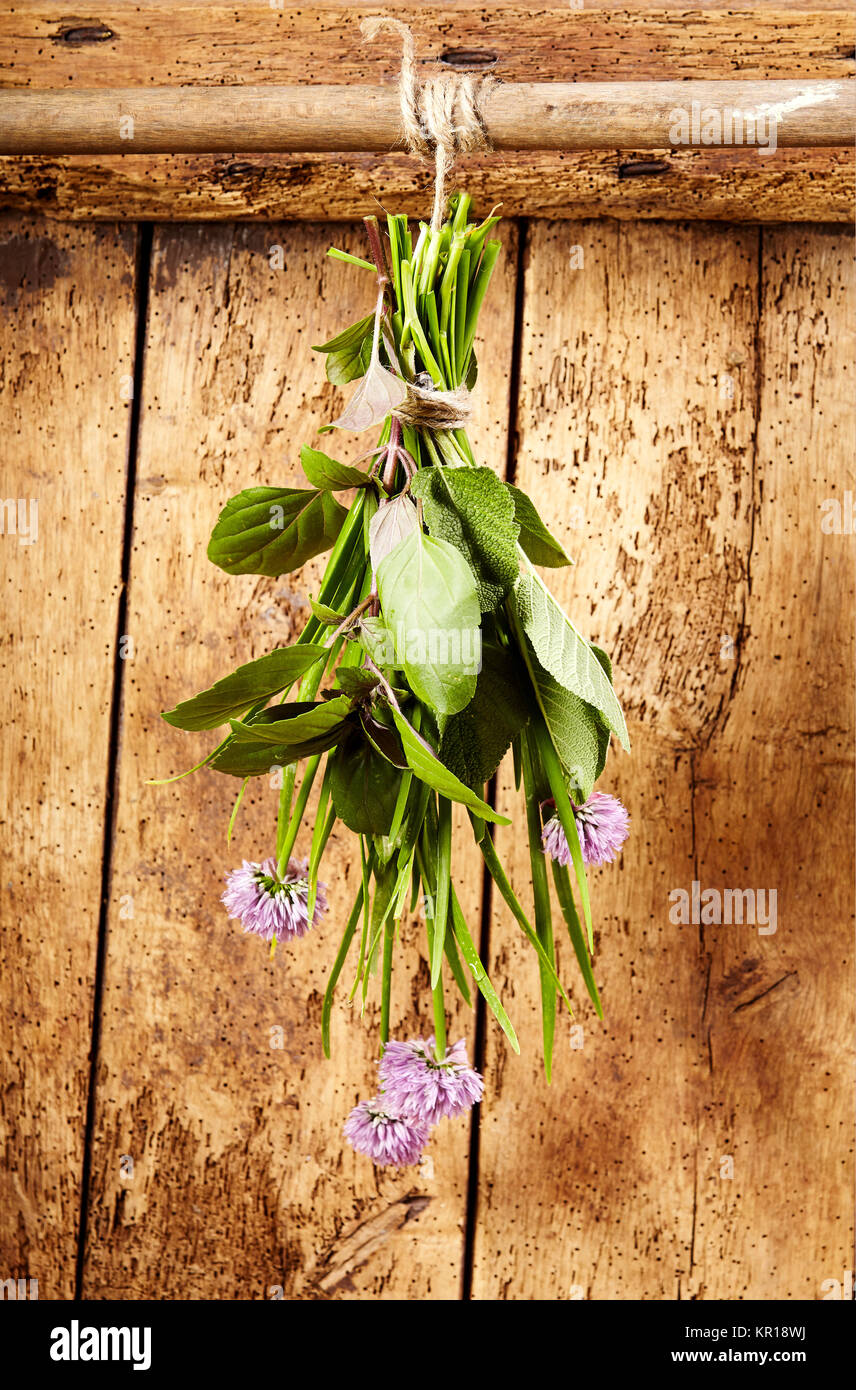 Assorted fresh culinary herbs hanging in a bunch with chives, chive ...
