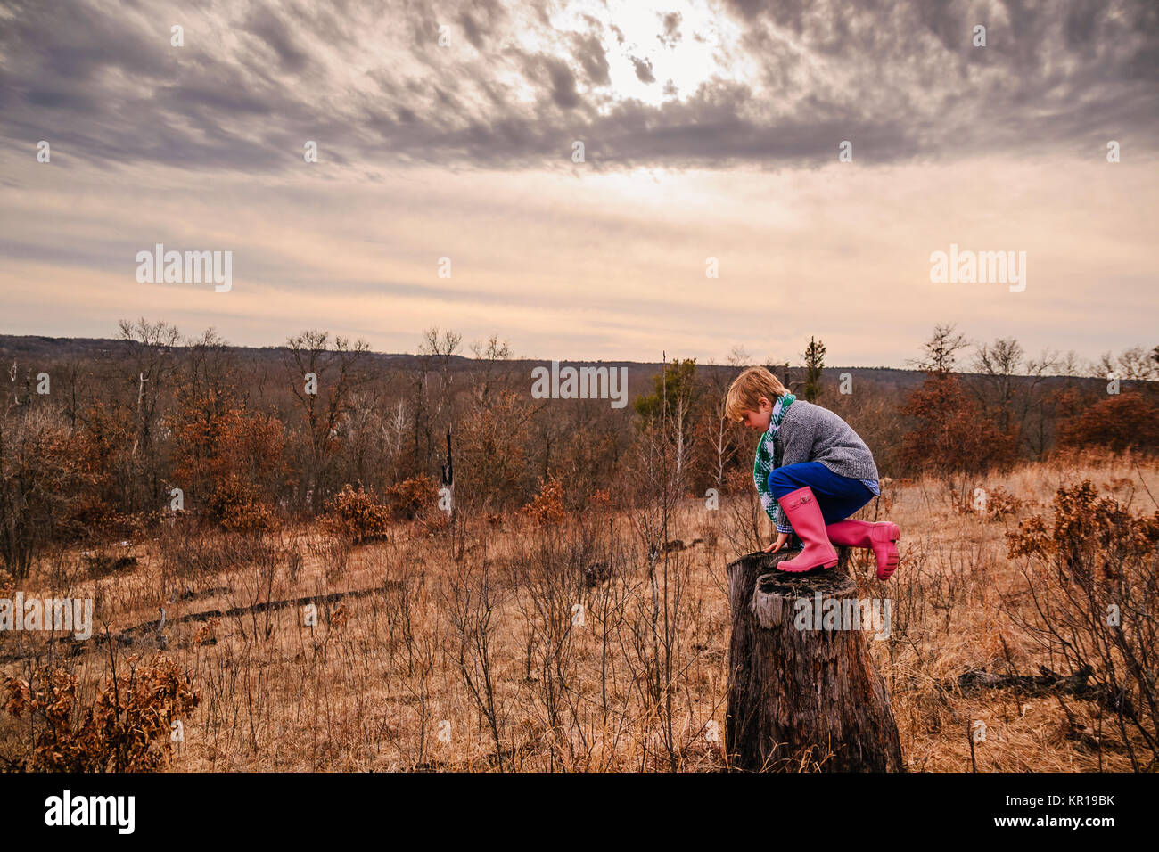 Boy climbing on an tree old stump Stock Photo - Alamy