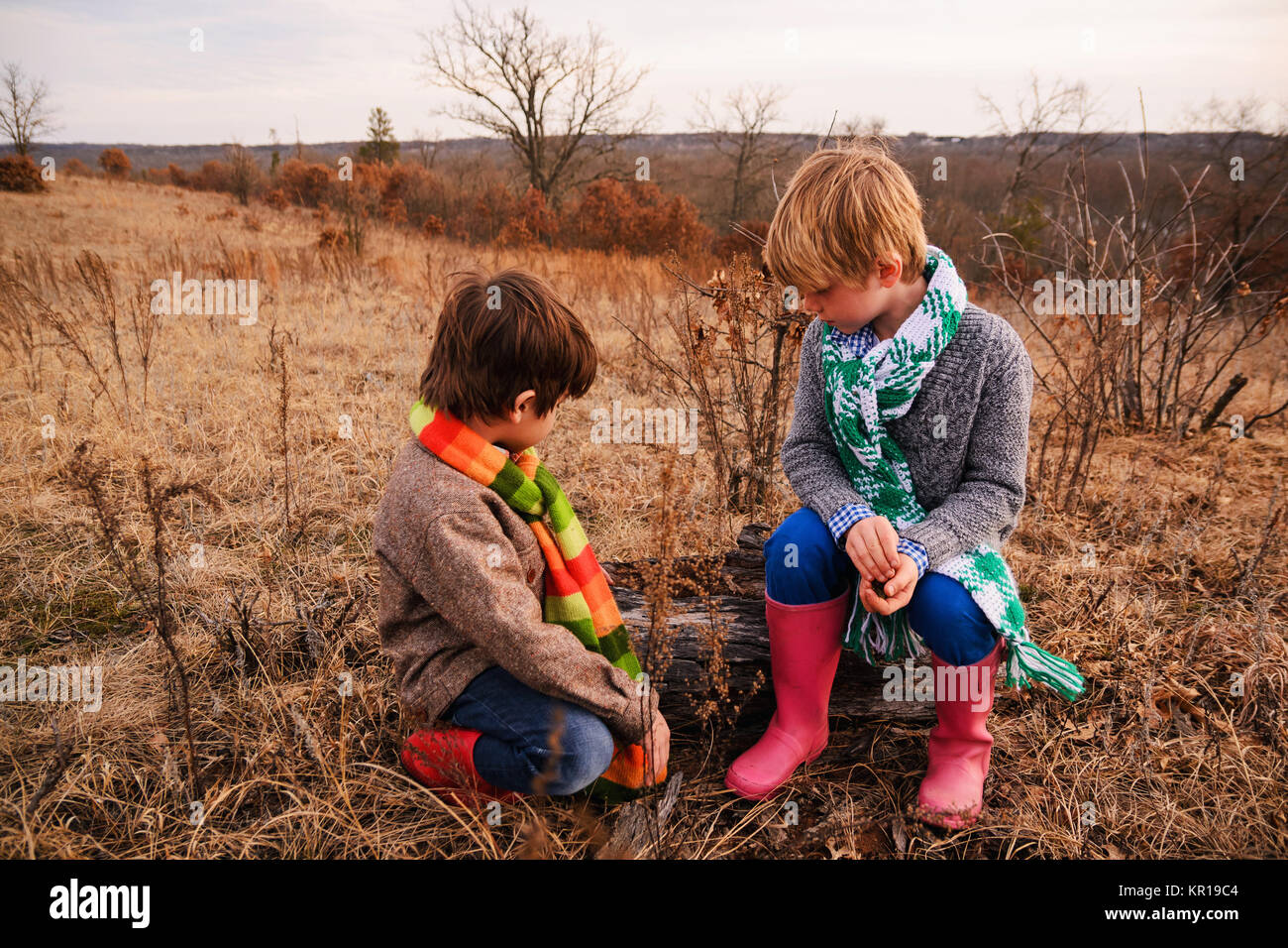 Two boys looking at a log Stock Photo - Alamy
