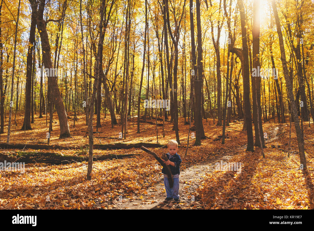Boy standing on a forest trail holding a stick Stock Photo - Alamy