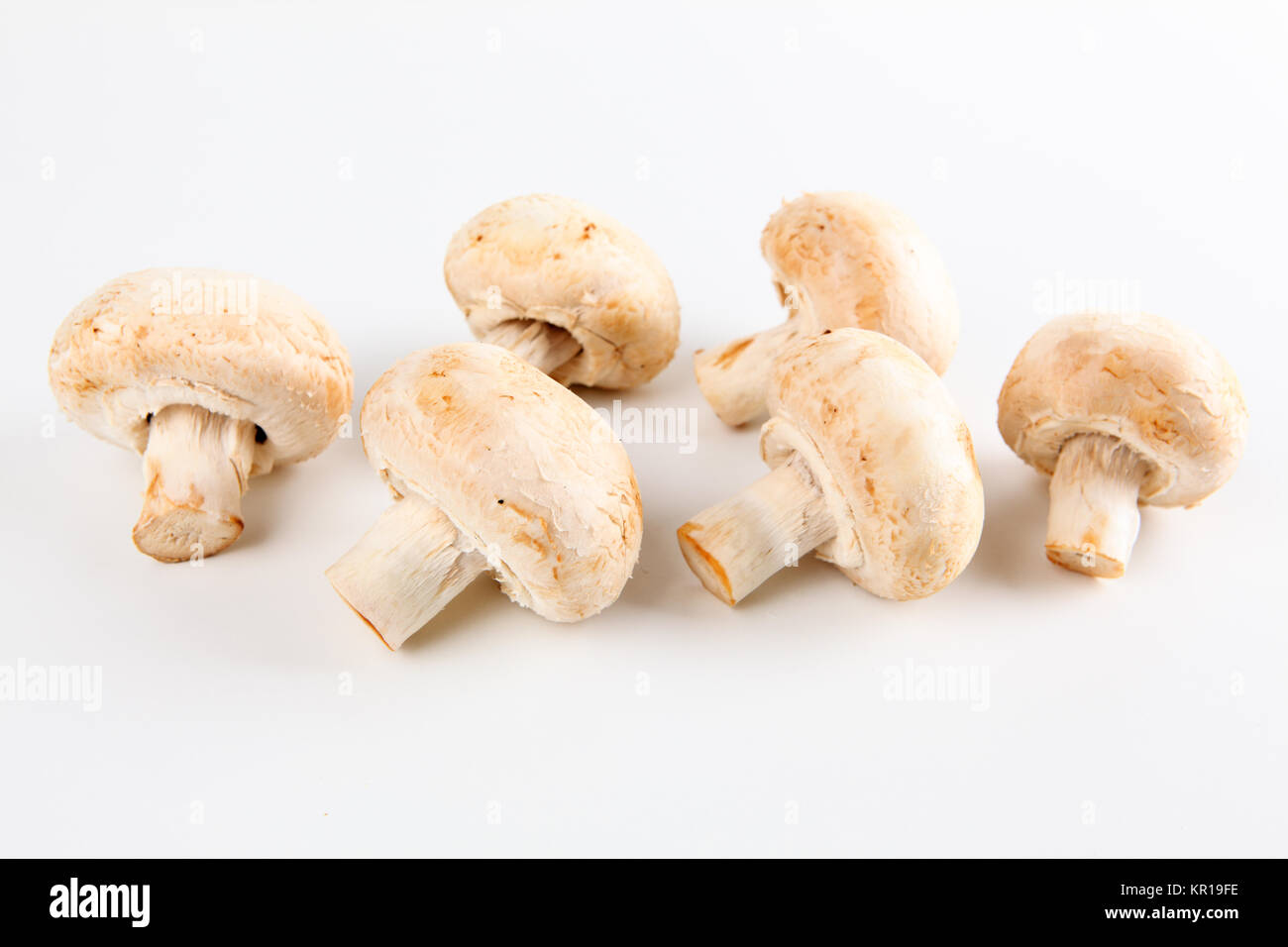 Roh stiel hi-res stock photography and images - Alamy