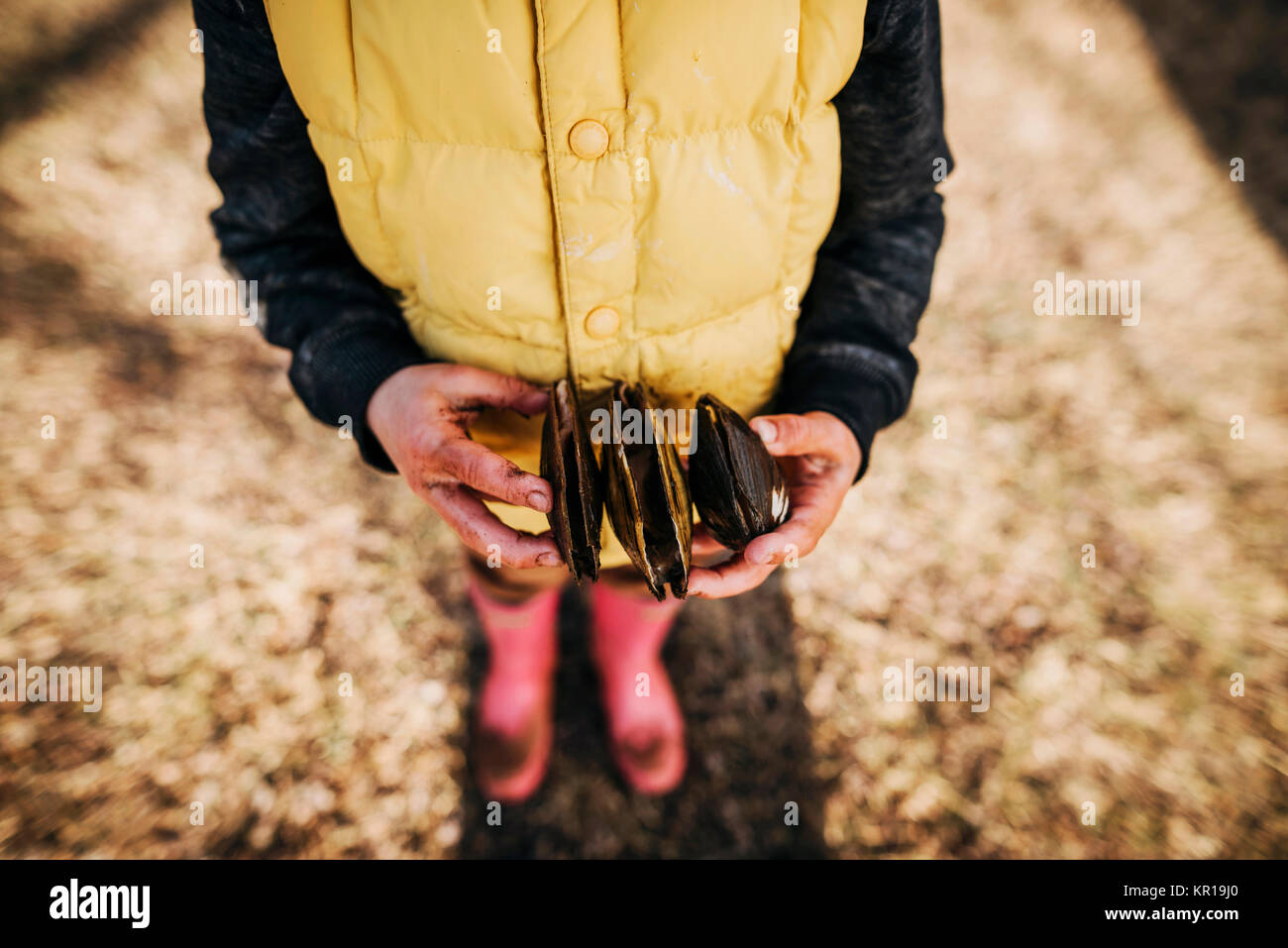 Shell standing hi-res stock photography and images - Alamy