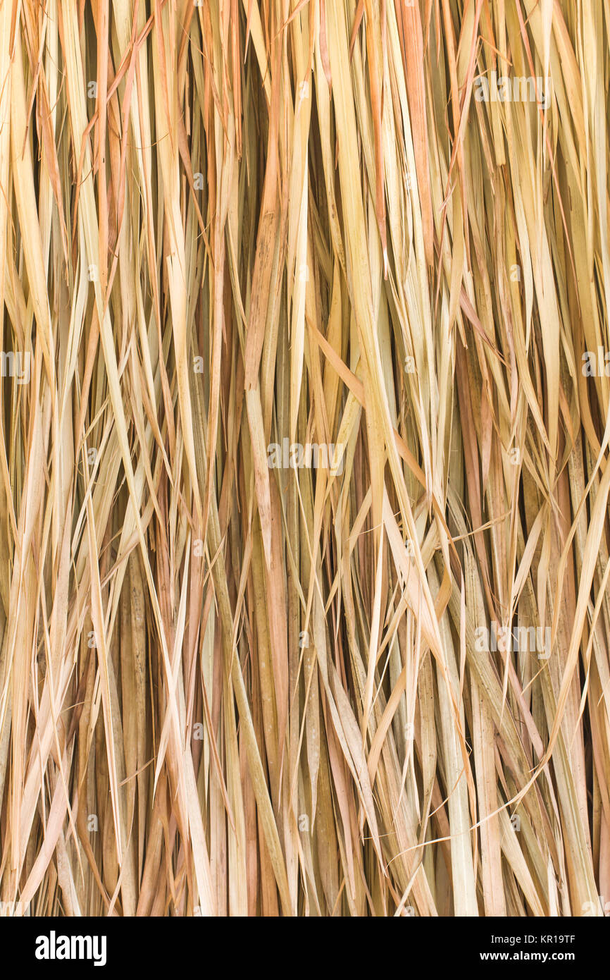 Texture of straw Stock Photo - Alamy