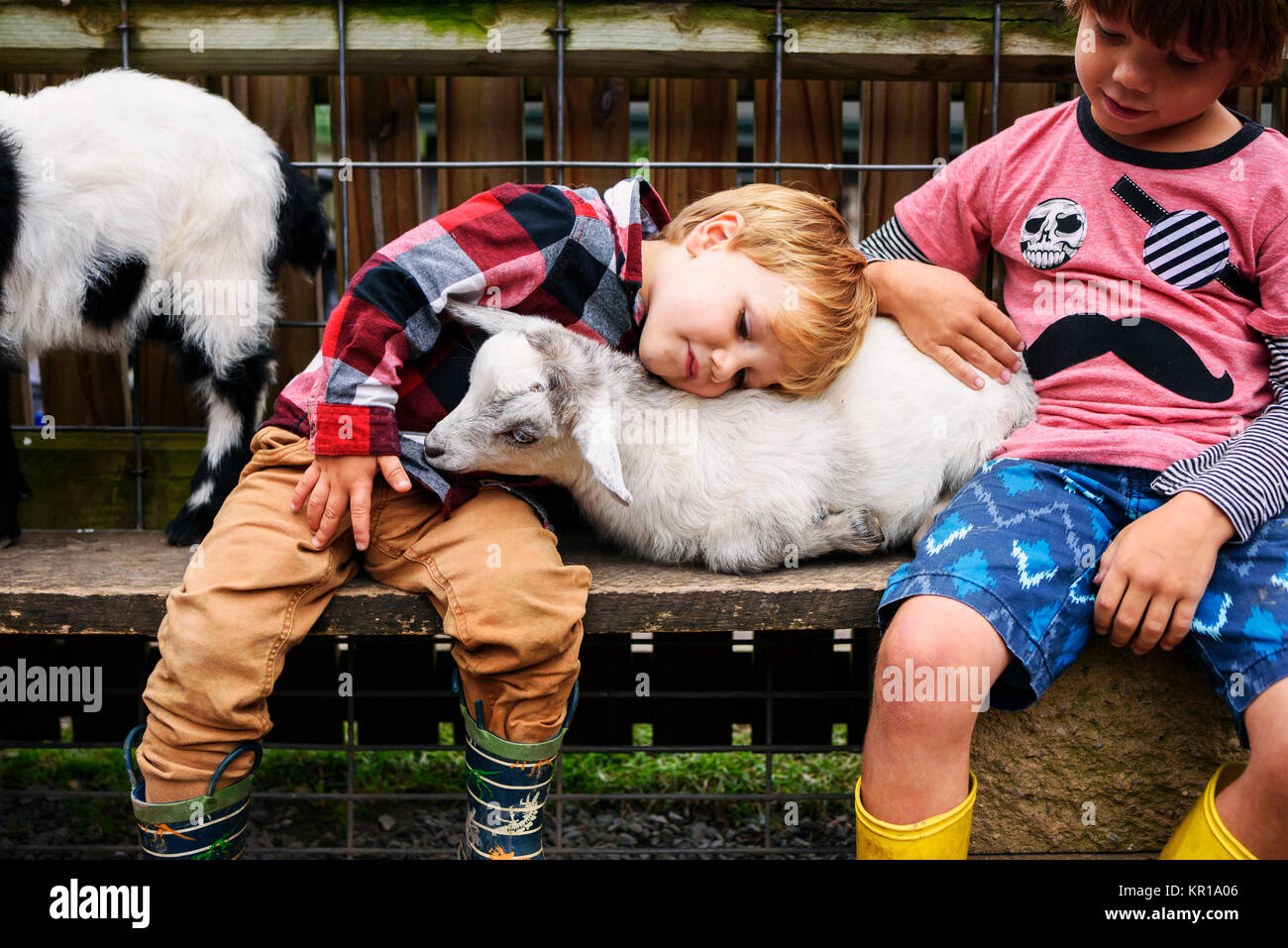 Two Boys Goat High Resolution Stock Photography and Images - Alamy