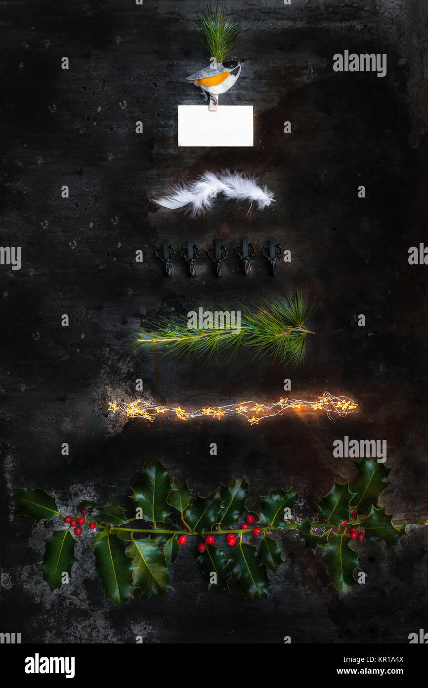 Pine tree berries hi-res stock photography and images - Alamy