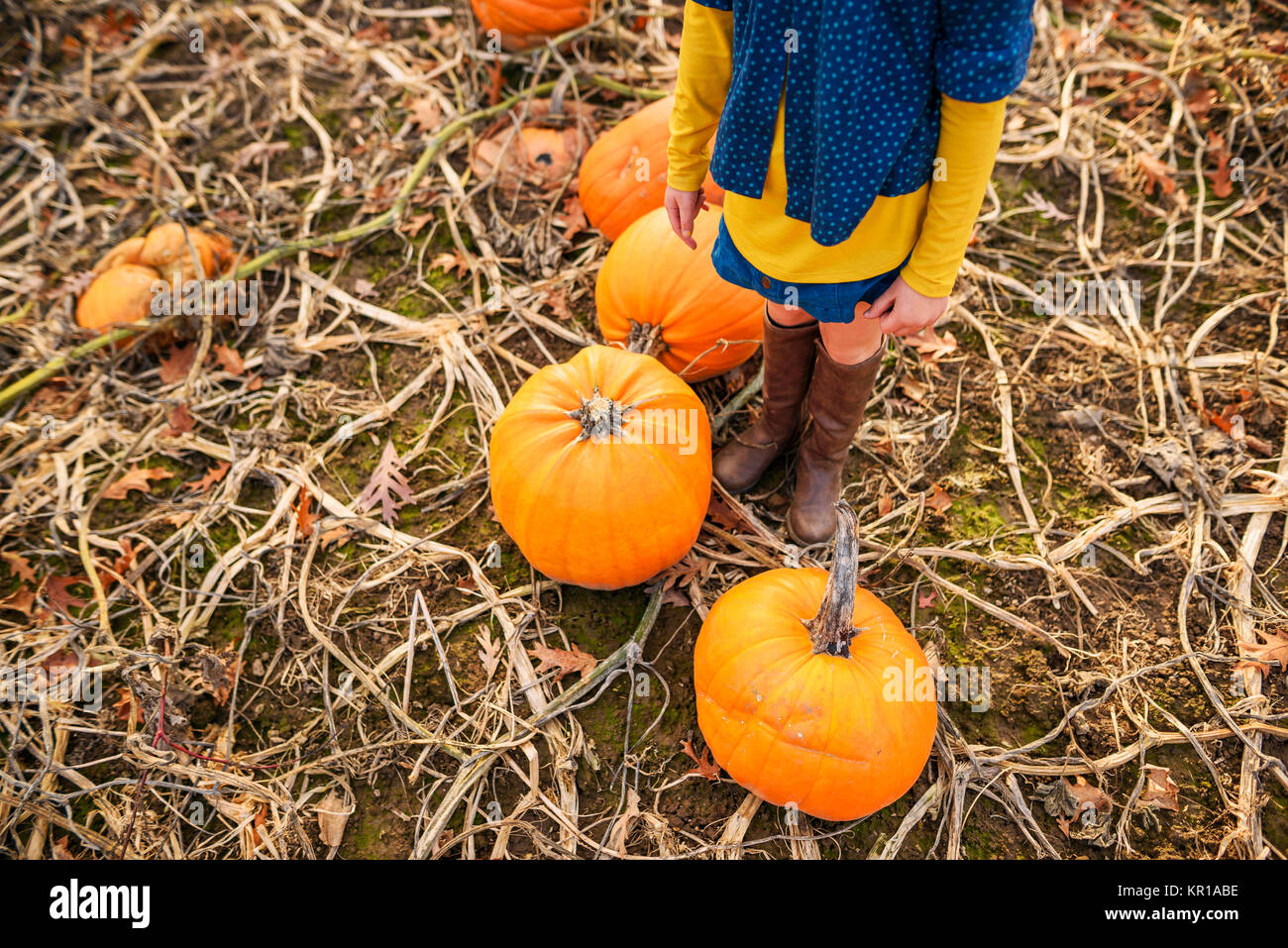 Girl standing in a pumpkin patch Stock Photo - Alamy
