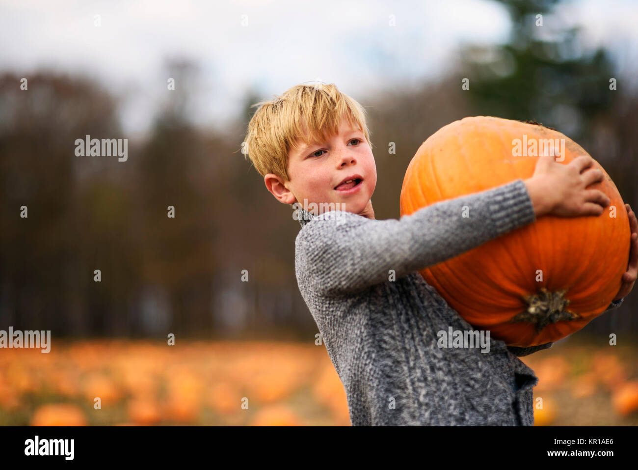 Boy carrying vegetables hi-res stock photography and images - Alamy
