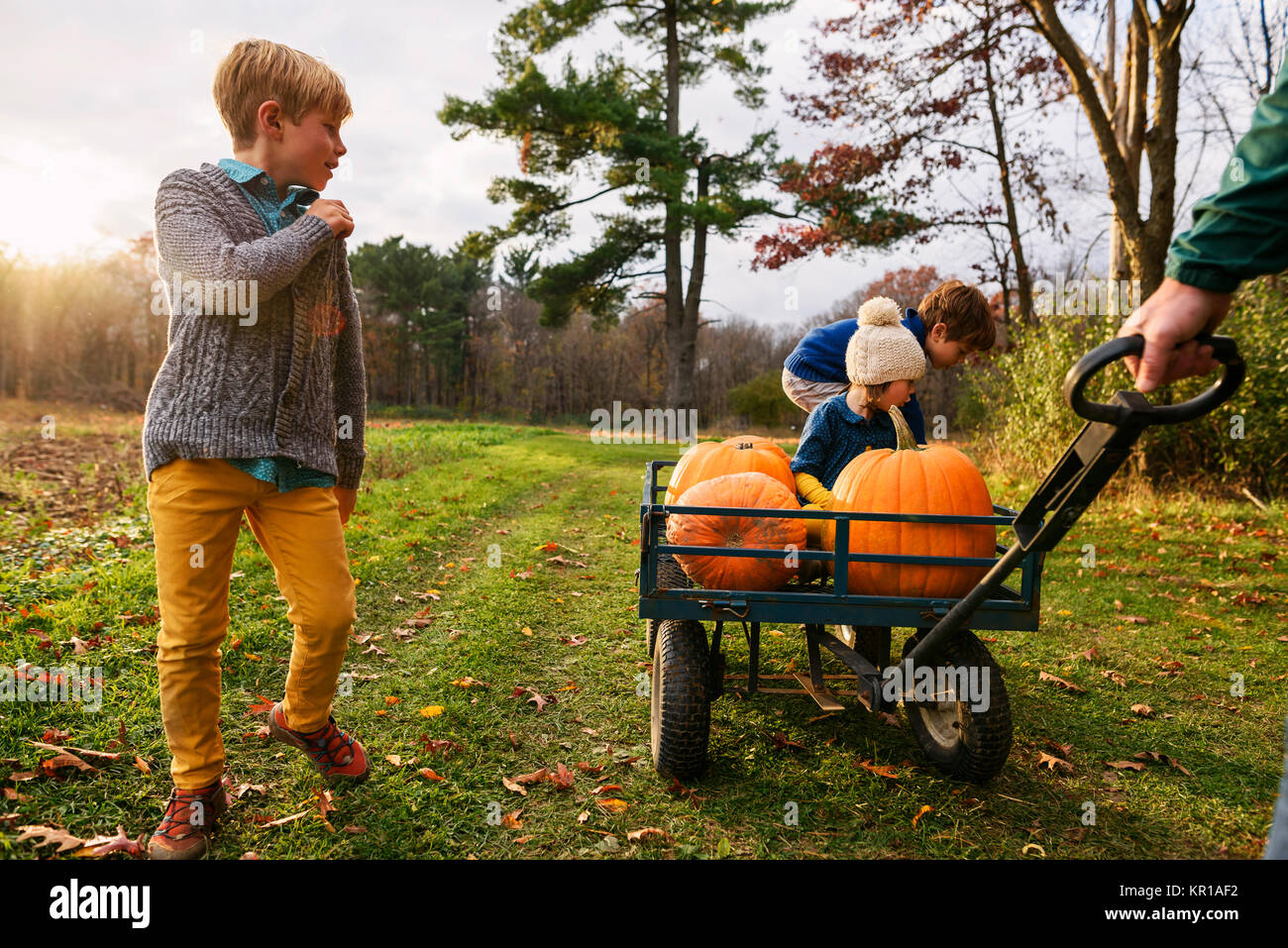 Father pulling three children in a wagon with pumpkins Stock Photo - Alamy