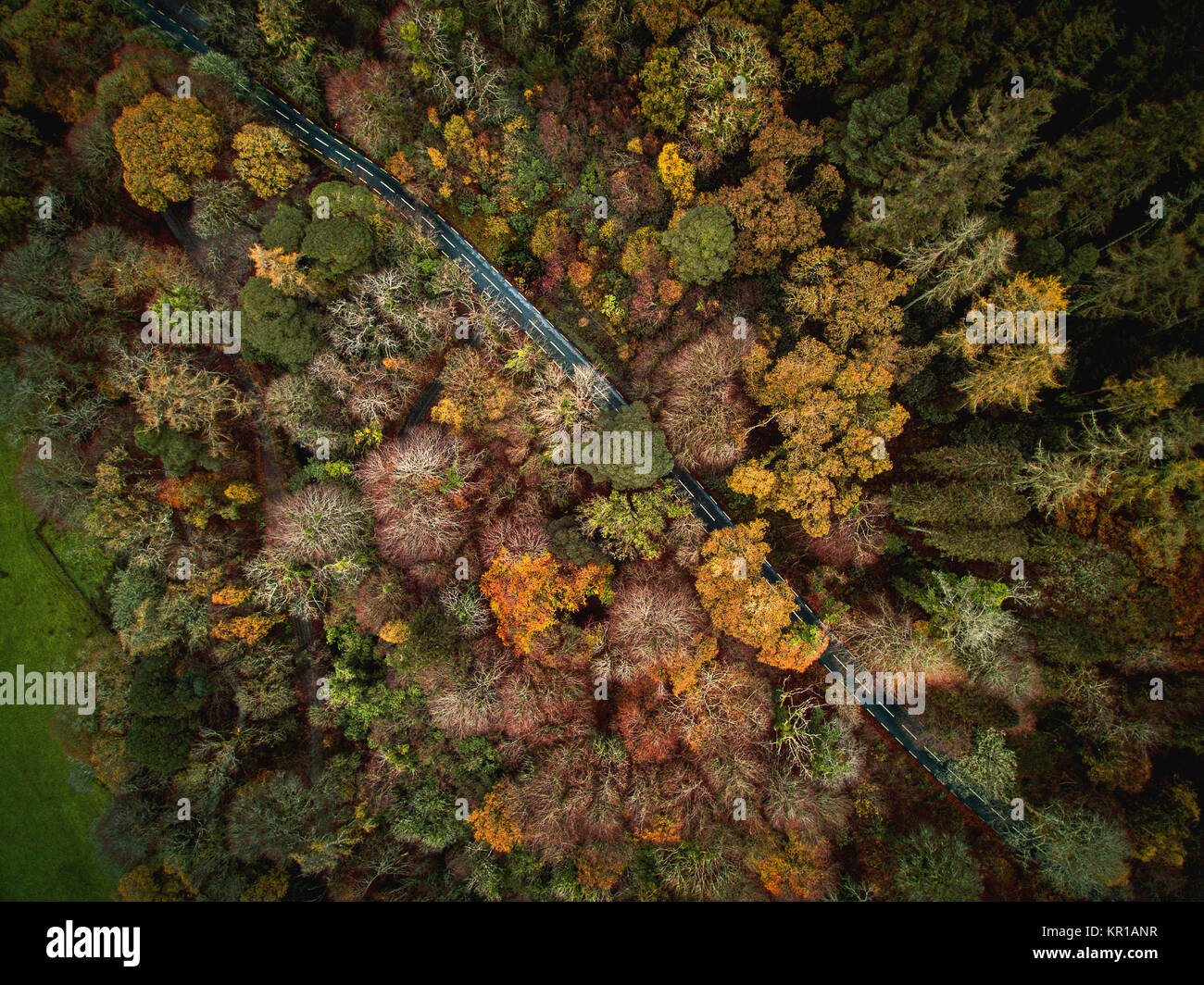 Aerial view of road through an autumn forest, County Kerry, Munster ...