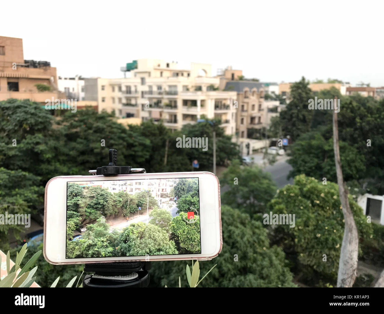 Filming a street in New Delhi, India on a mobile phone Stock Photo - Alamy