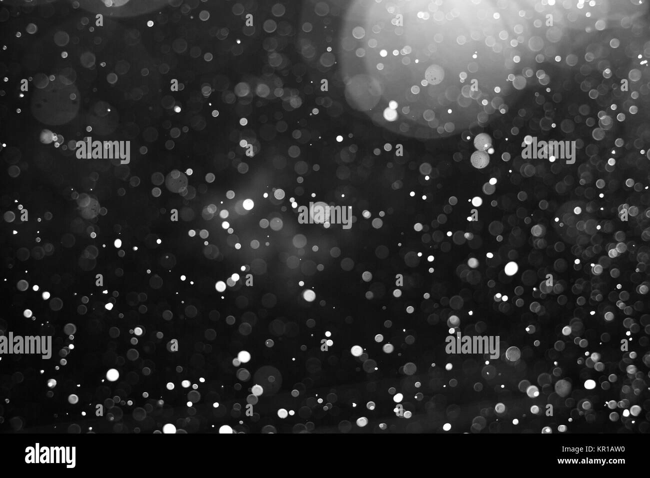 Winter christmas background snow on Black and White Stock Photos ...