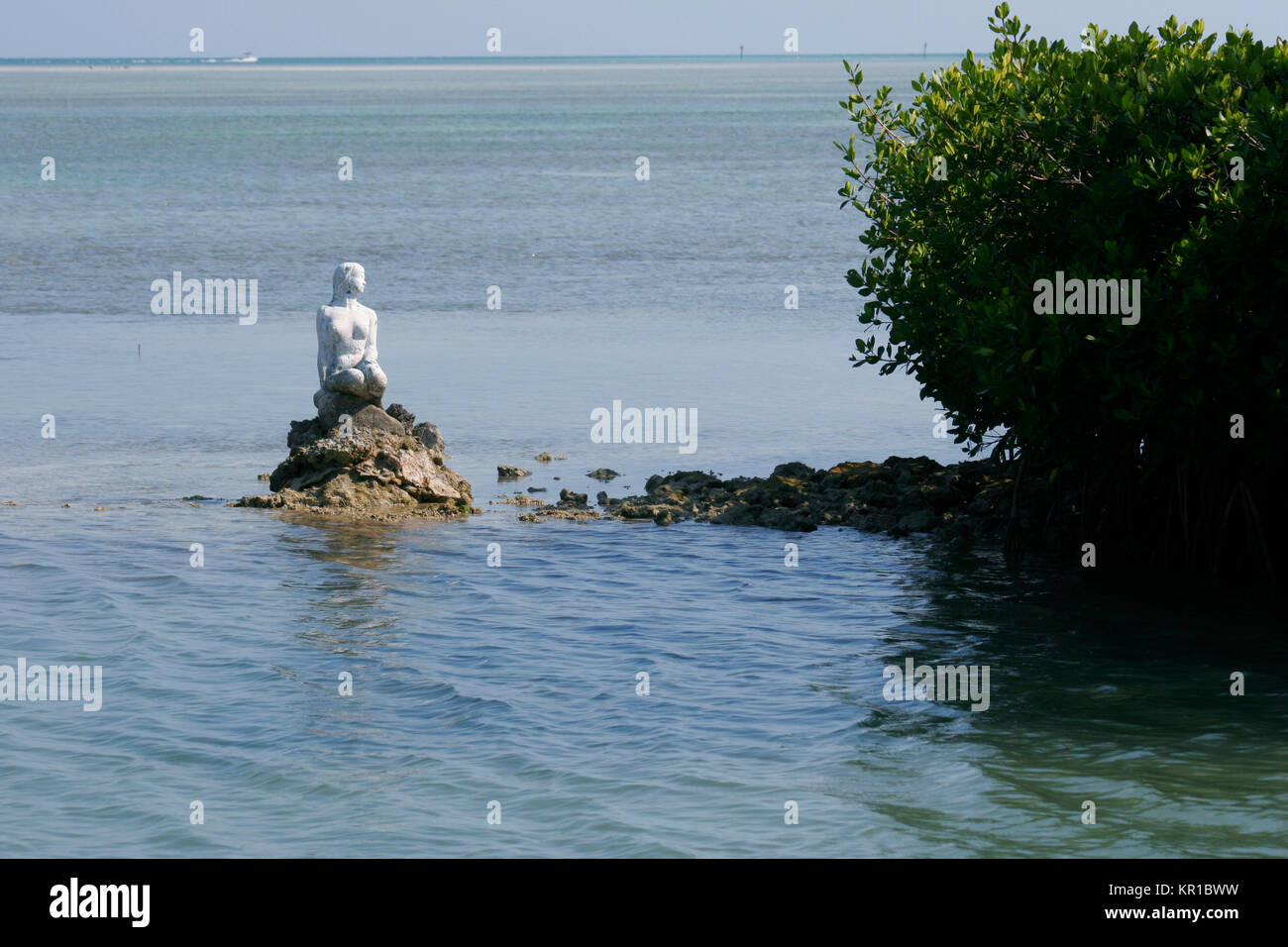 Mermaid lagoon hi-res stock photography and images - Alamy
