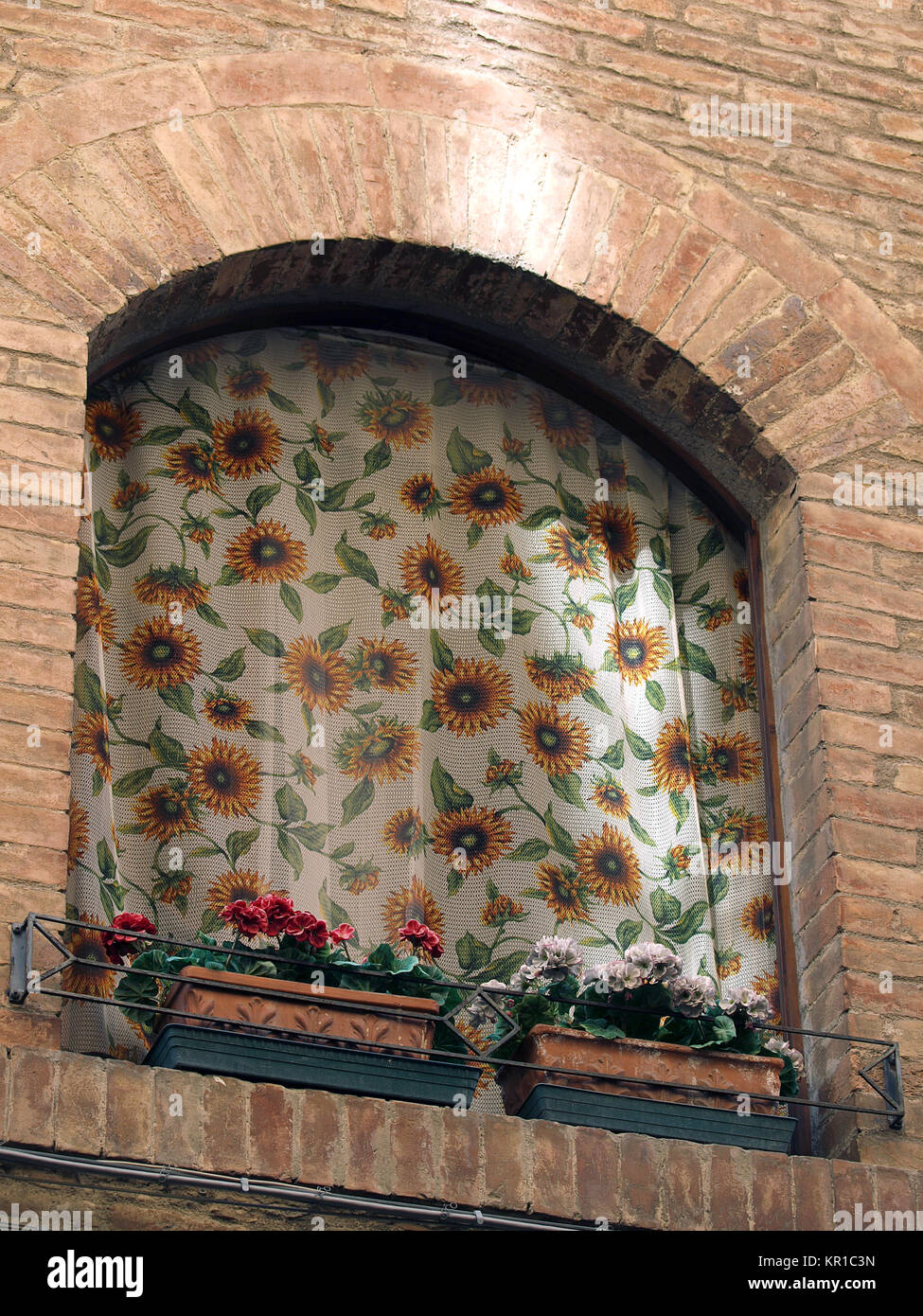 Adorable window with sunflowers on veils - Tuscany Stock Photo - Alamy