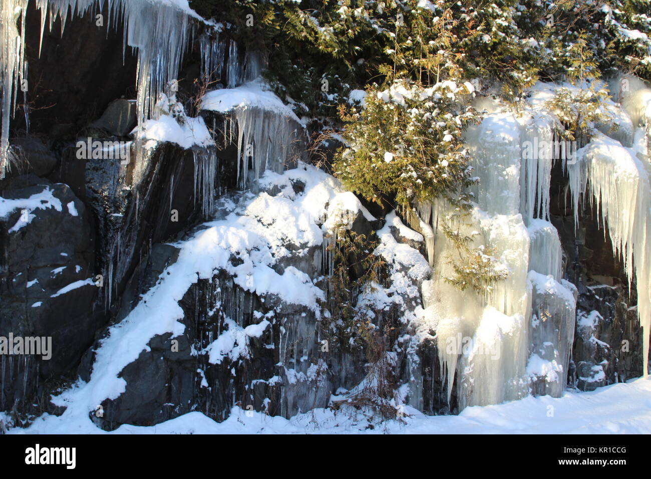Icicles hanging trees hi-res stock photography and images - Alamy