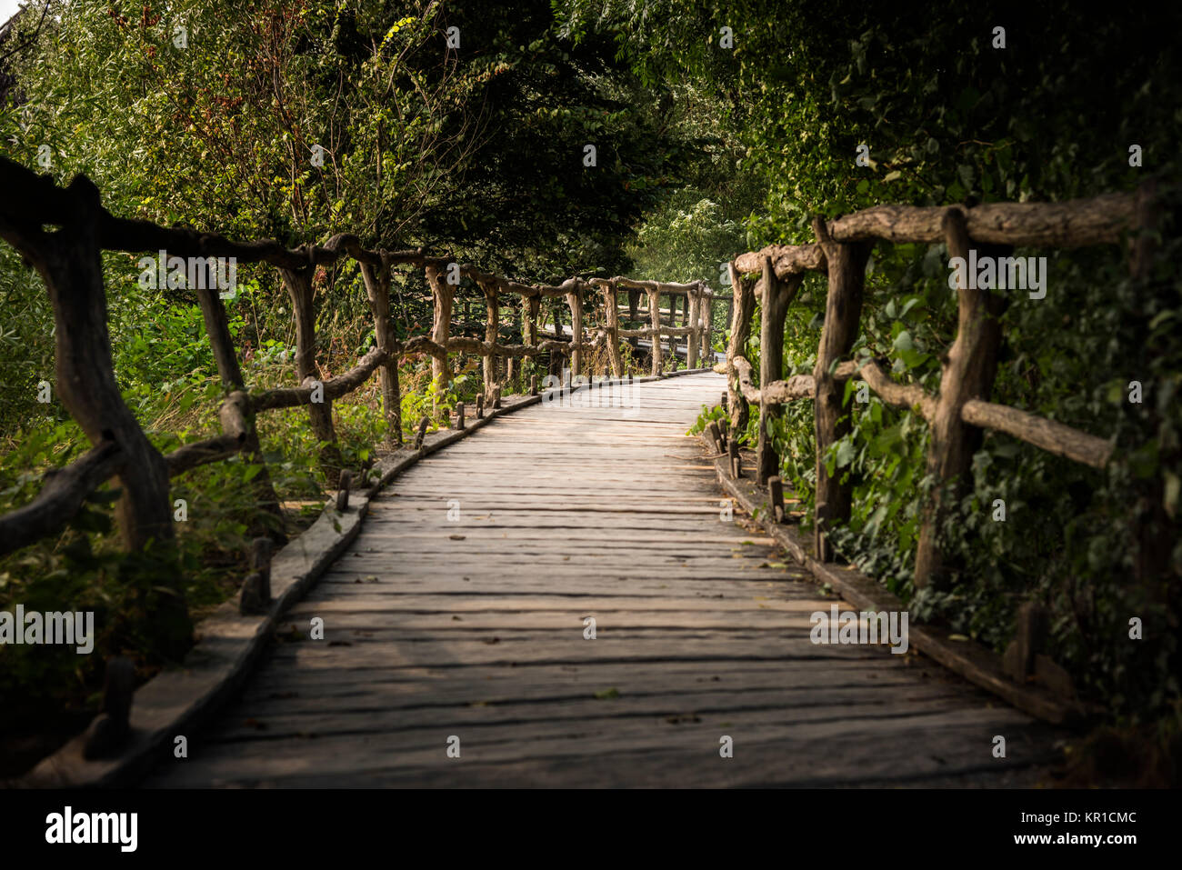 Old wooden path Stock Photo - Alamy
