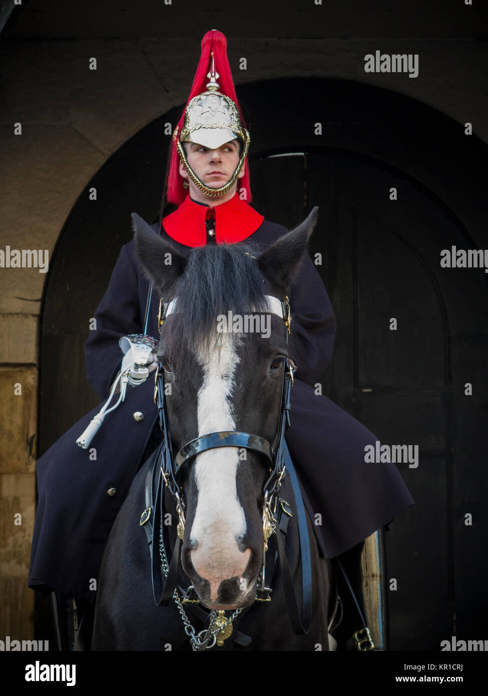 Royal horse guards uniform close up hi-res stock photography and images ...