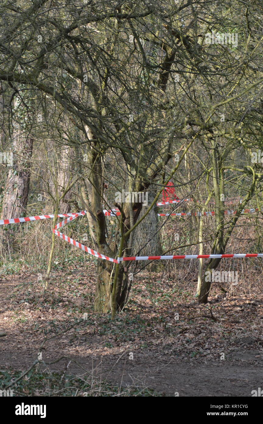 Shut-off tape in the forest Stock Photo - Alamy