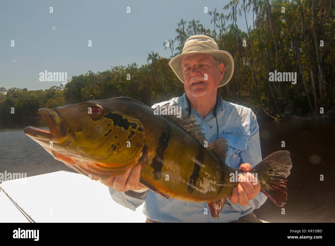 A proud angler lands a big double-digit peacock bass in the Amazon ...