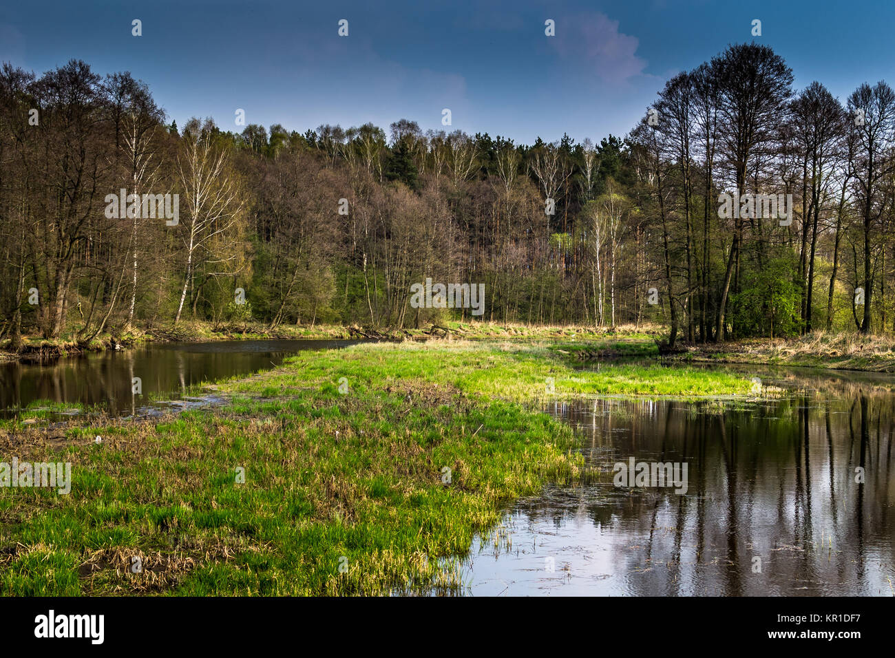 Spring floodplain hi-res stock photography and images - Alamy