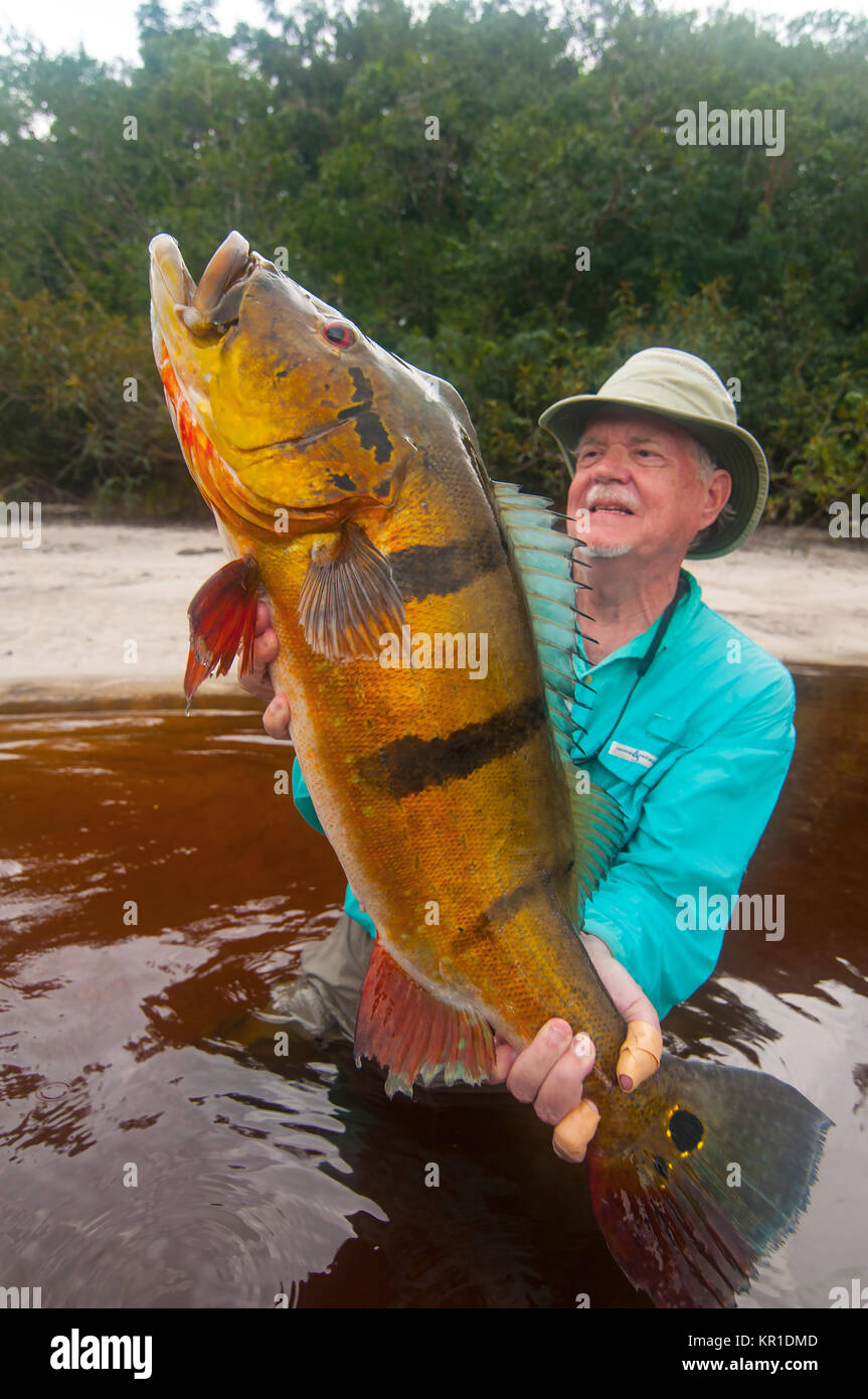 Larry Larsen lands a giant 25 pound peacock bass in the Amazon ...