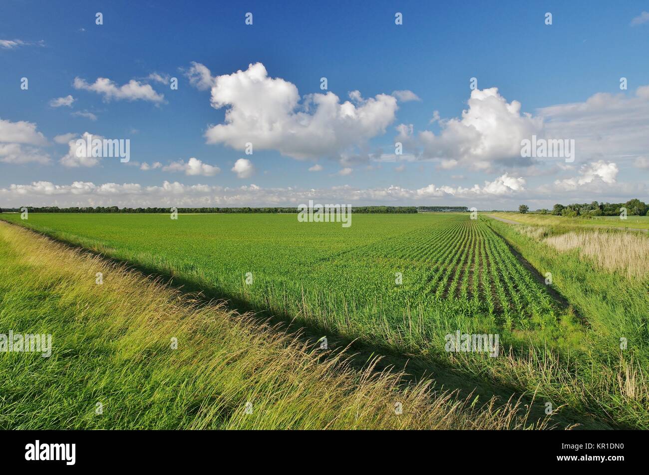 fields landscape at Stock Photo - Alamy
