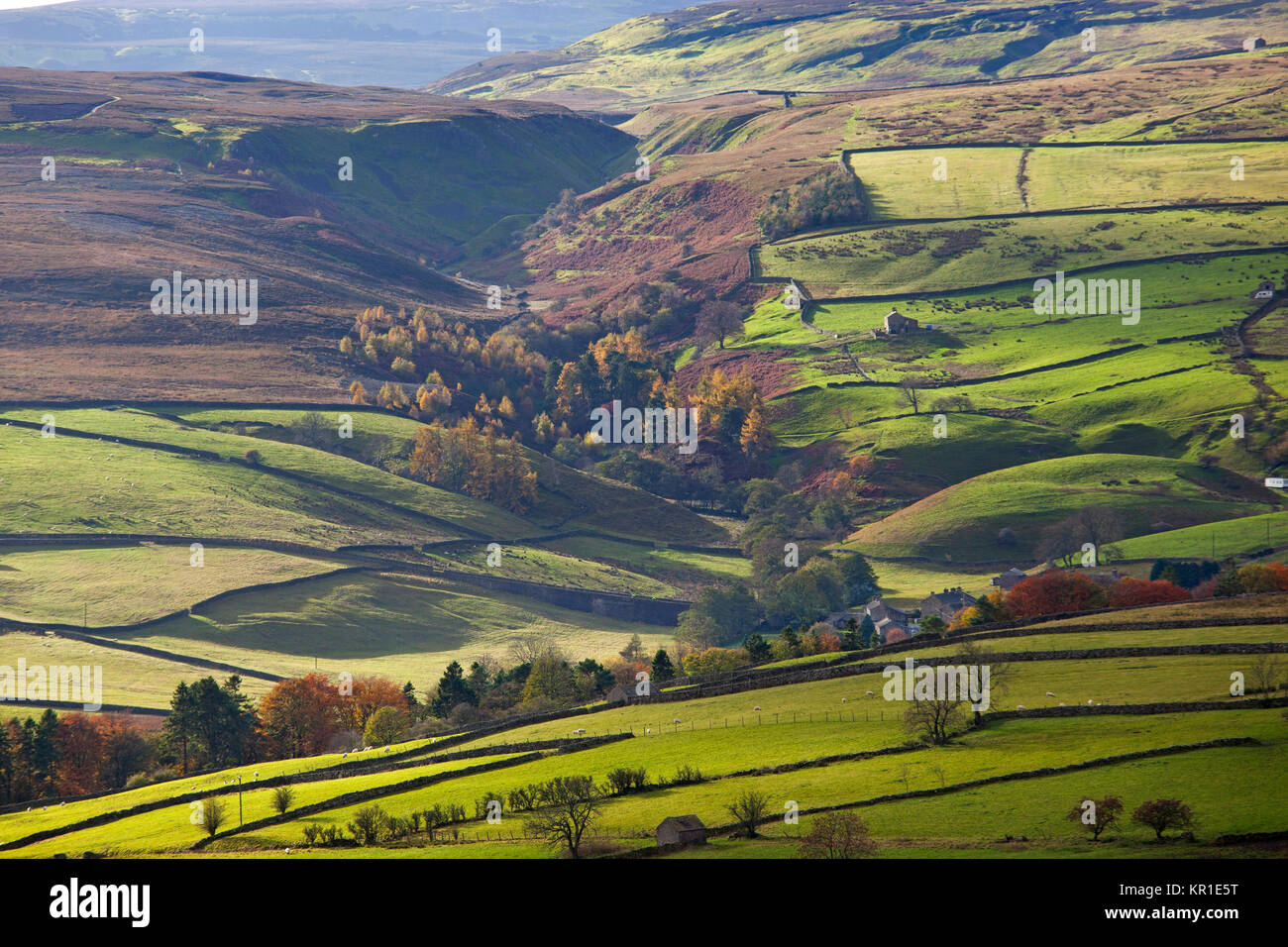 Swaledale countryside hi-res stock photography and images - Alamy