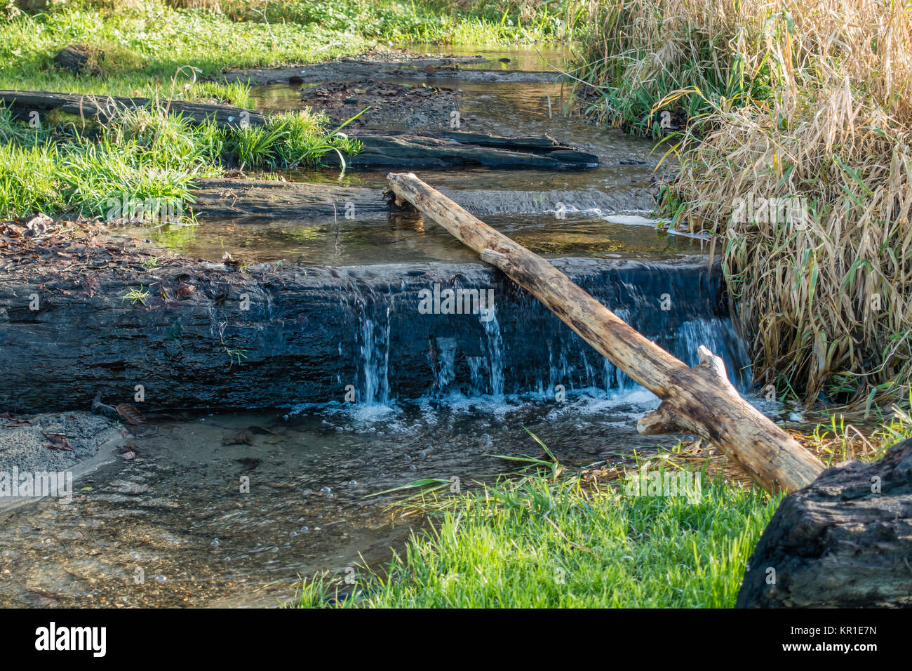A view of a stream at Seahurst Park in Burien, Washington Stock Photo ...