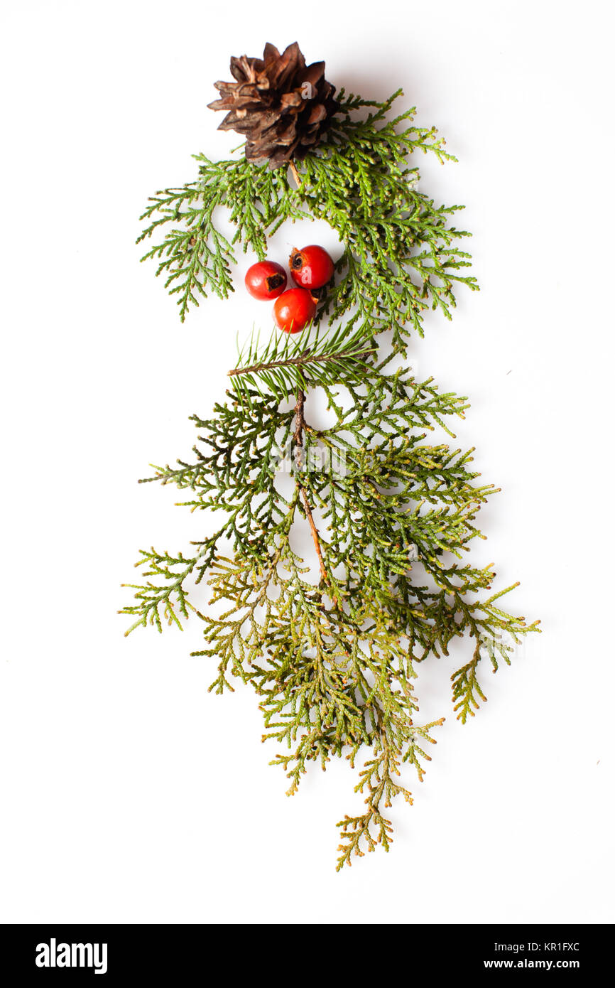 Gnome face Cut Out Stock Images & Pictures - Alamy