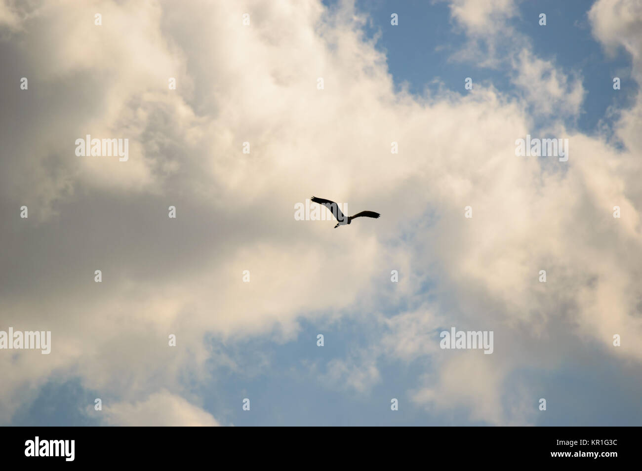 Single flight hi-res stock photography and images - Alamy