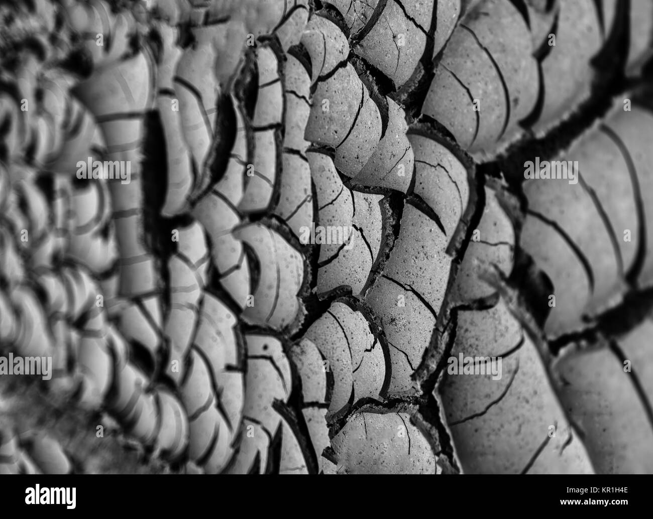 Fissured clay texture Black and White Stock Photos & Images - Alamy