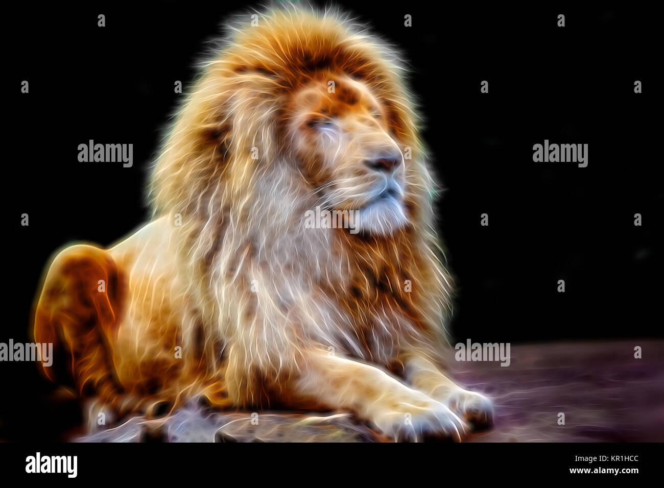 Glowing lion portrait Stock Photo - Alamy