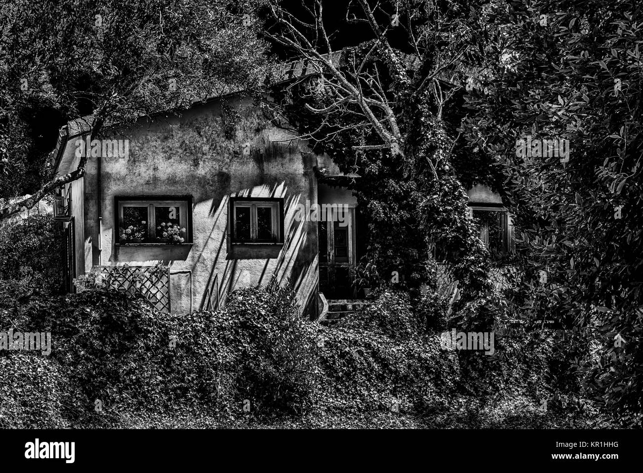 Leaves old house Black and White Stock Photos & Images - Alamy
