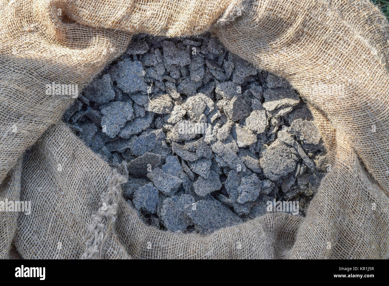 Pressed pressure of sunflower seeds in a bag. sunflower oil production ...