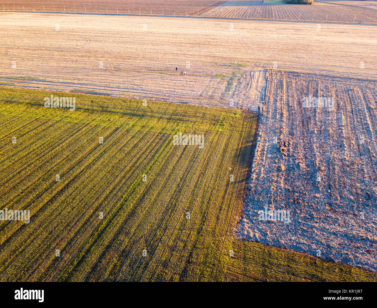 Sow the fields hi-res stock photography and images - Alamy