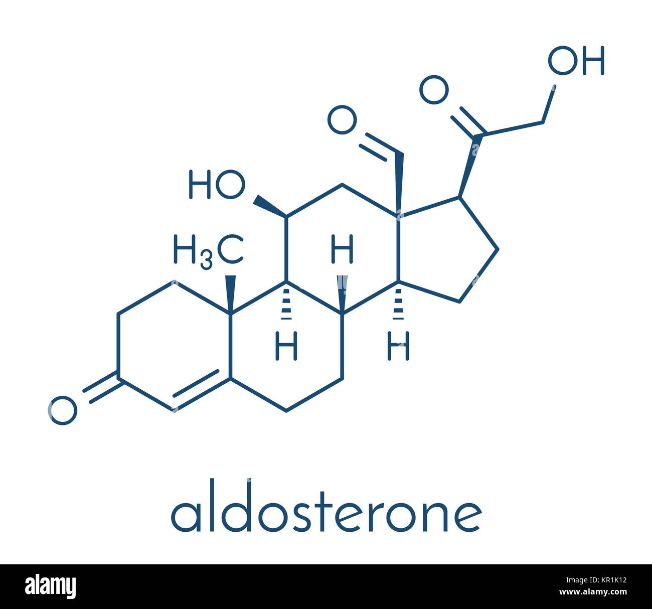 Adrenal gland structure hi-res stock photography and images - Alamy