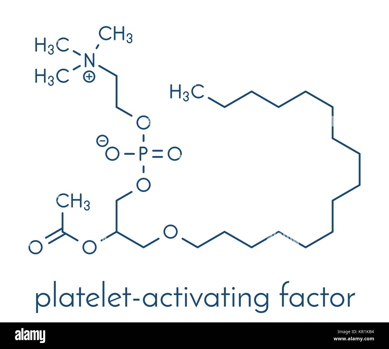Platelet-activating factor molecule. Plays role in thrombosis ...