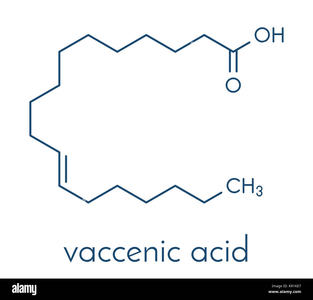 Vaccenic acid molecule. Trans fatty acid, present in animal fat and ...